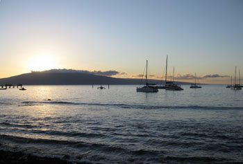 Honu Seafood & Pizza Maui Restaurant