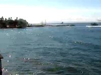 Maui Webcams where you can see Maui live right now