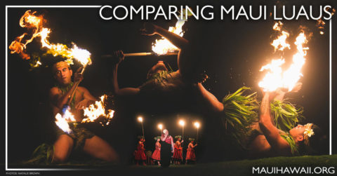 Maui Luau - 9 best Maui Luaus compared to suit your budget!