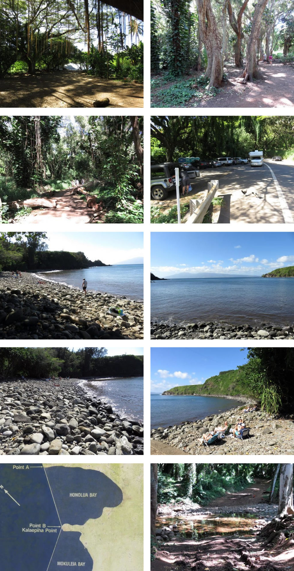 Honolua Bay (plus Honolua Forest) nature walk, surf & snorkeling