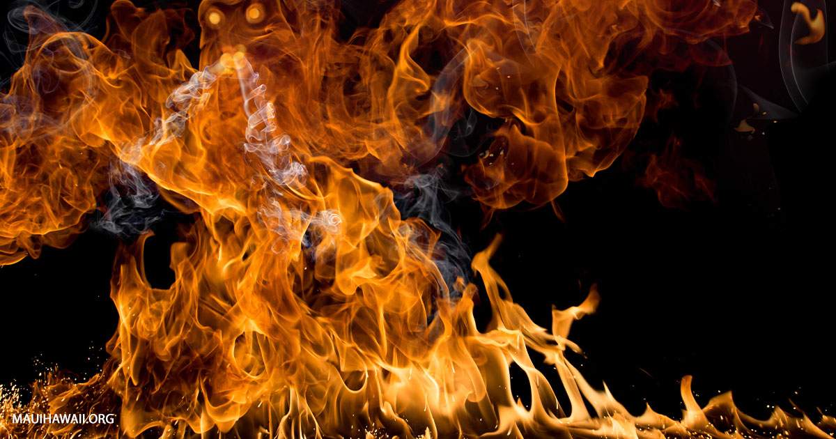 Beach Bums Menu - Maui BBQ Restaurant Located in Napili