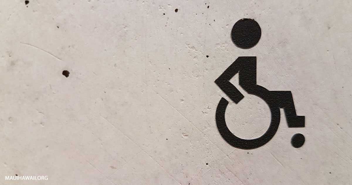 Handicapped Wheelchair Accessible Activities - Maui Hawaii