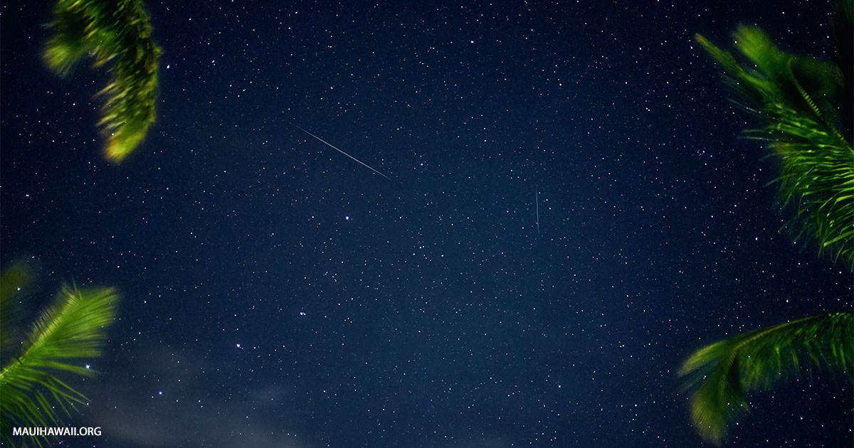 Five Palms Restaurant Menu - Oceanview Restaurant in South Maui