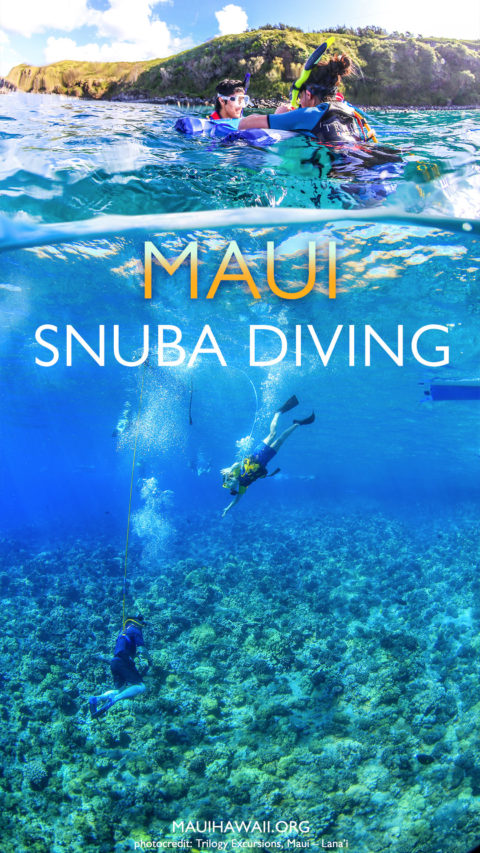 Snuba Diving in Maui - Where snorkeling and scuba diving meet!