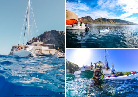 Snuba Diving in Maui - Where snorkeling and scuba diving meet!