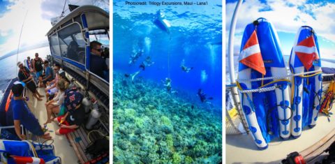 Snuba Diving in Maui - Where snorkeling and scuba diving meet!
