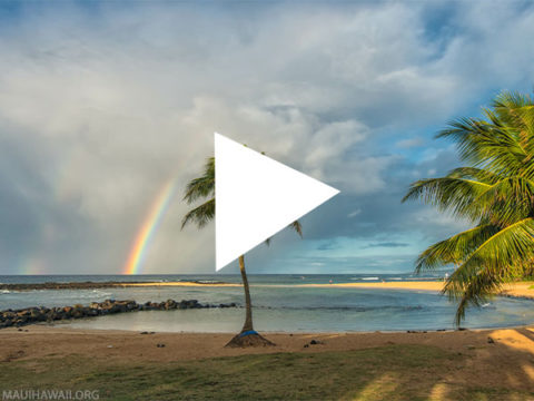 Hawaii Webcams - Web Cameras on Oahu, Kauai, Big Island and Maui